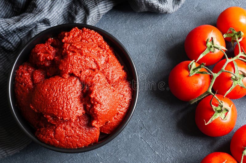 Traditional Turkish Tomato Paste in Bowl with Fresh Tomatoes on Rustic ...