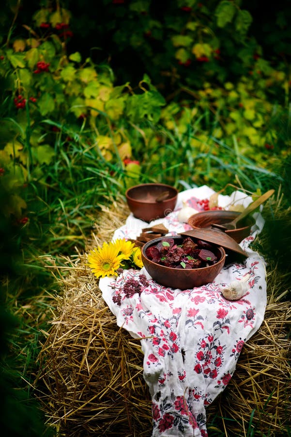Traditional Ukrainian Stew with Beet Shpundrya. Stock Photo - Image of ...