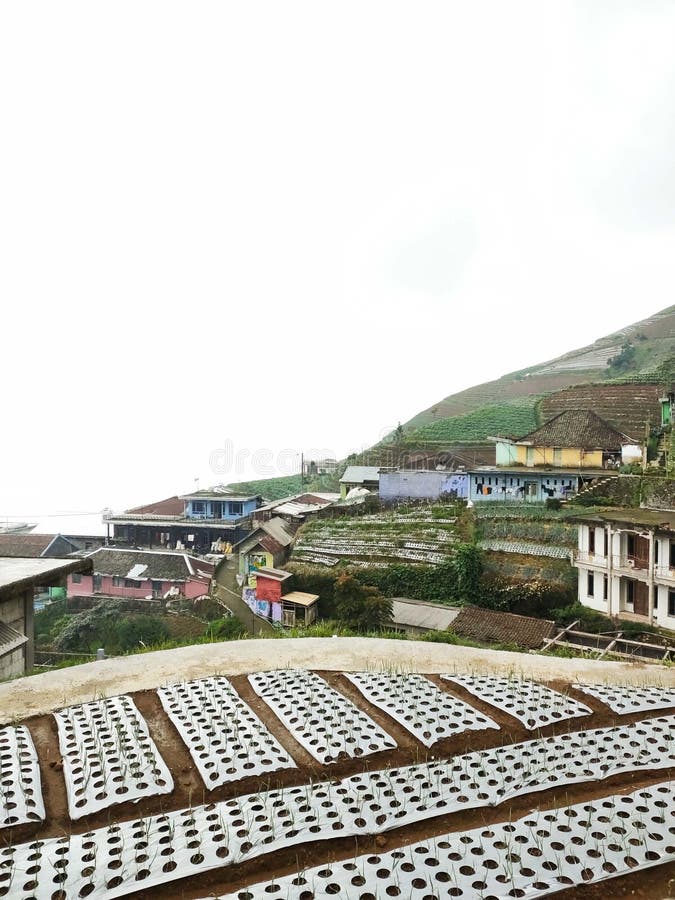 Traditional Village at the Montain Stock Image - Image of vilage, grass ...