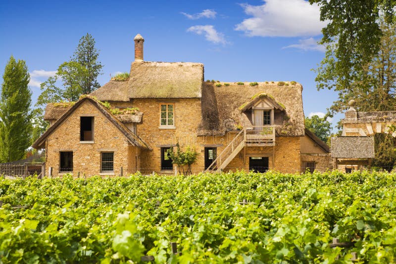 Traditional Vineyard and Old Farm Stock Photo - Image of vineyard ...