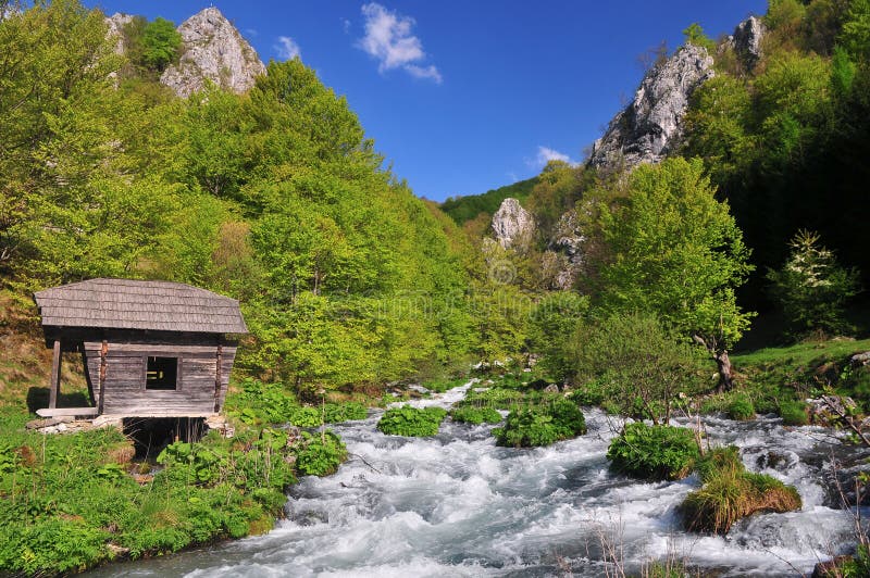 Izbuculcernei Stock Photos - Free & Royalty-Free Stock Photos from ...