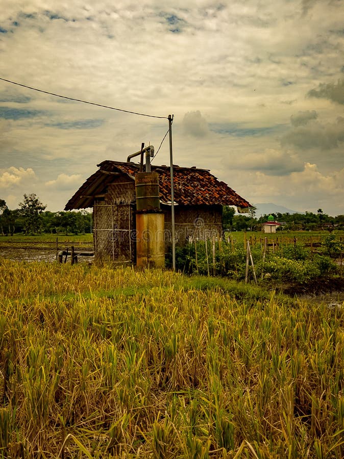 Traditional Water Pump House in the Middle of Rice Fields Stock Image ...