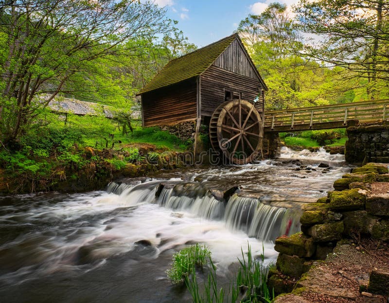 A Traditional Watermill beside a Flowing Stream, Surrounded by Dense ...