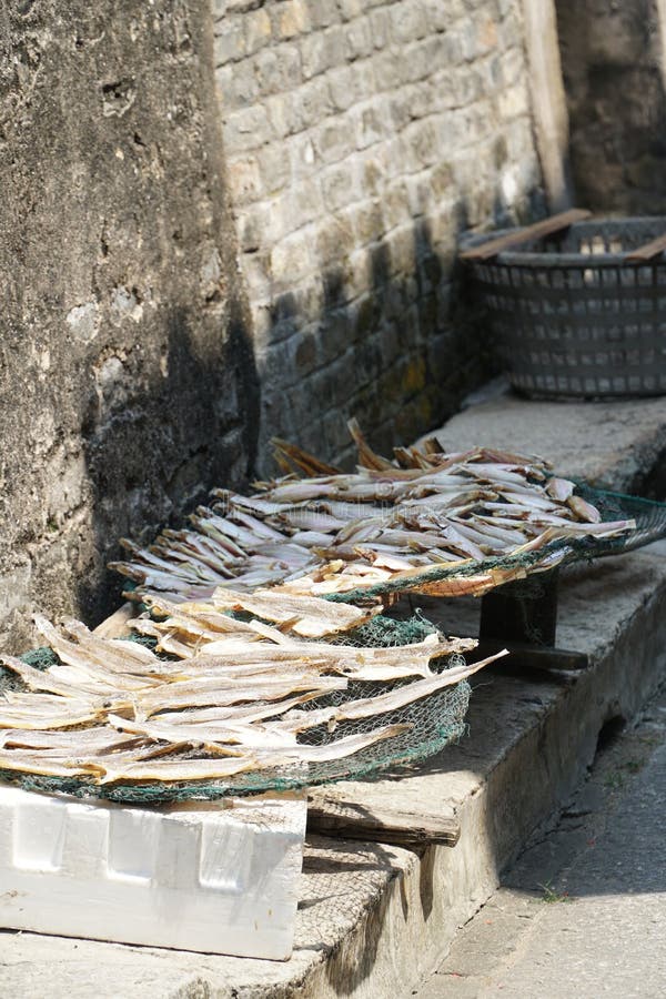 Traditional Way Dried the Salted Fish by Sunlight and Wind, South China ...