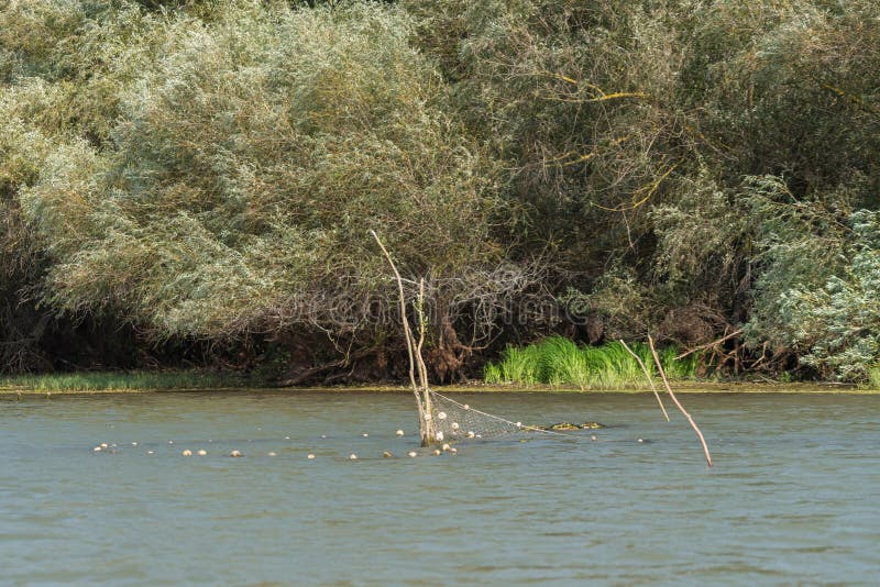 Traditional Way of Fishing in the Danube Delta Romania Stock Image ...