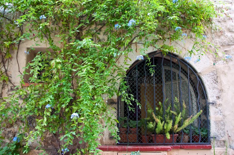Traditional Window with Plants Stock Image - Image of herbal, outdoors ...