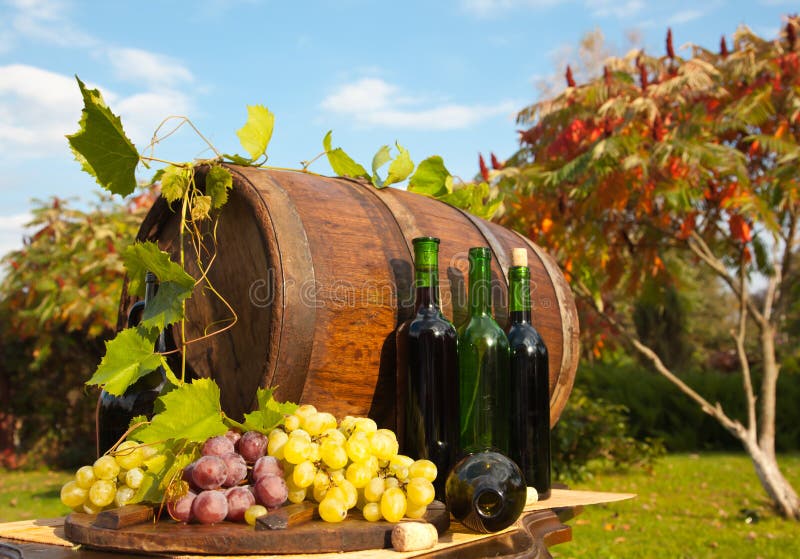 Traditional wine making stock image. Image of fresh, making - 26767147