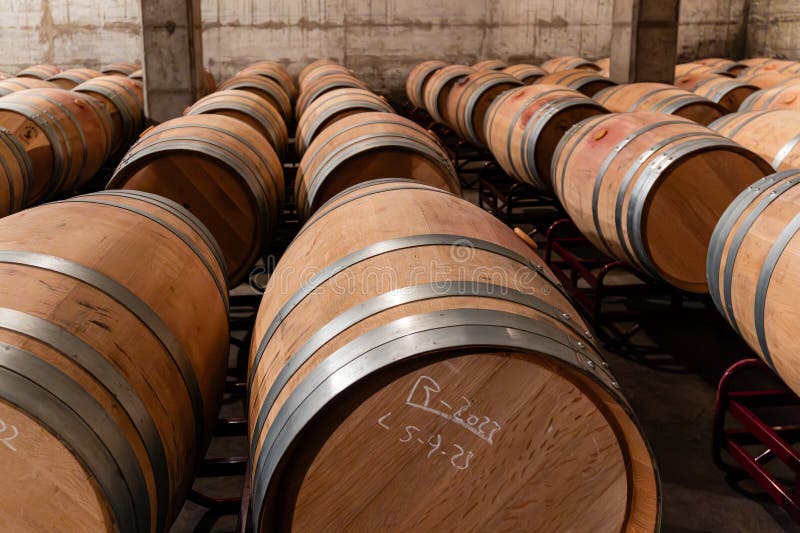 Traditional Winemaking, Showcasing the Meticulous Process of Aging Wine ...