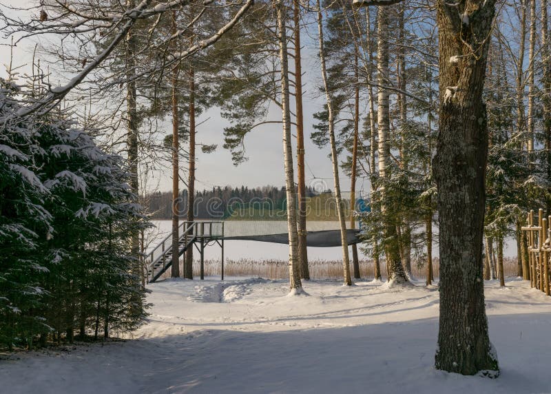 Traditional Winter Landscape with Snowy Trees Stock Image - Image of ...