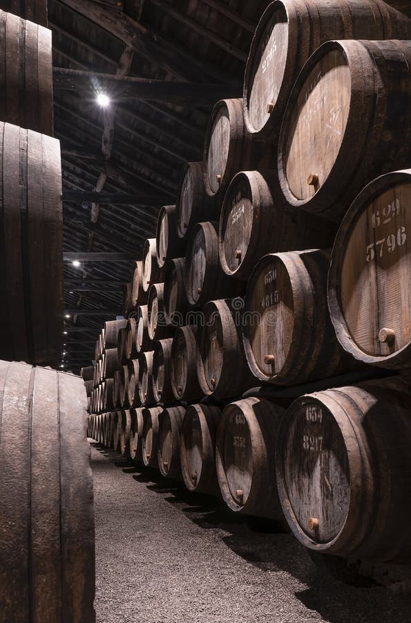 Traditional Wooden Barrels of Wine Stored in a Wine Cellar Stock Image ...