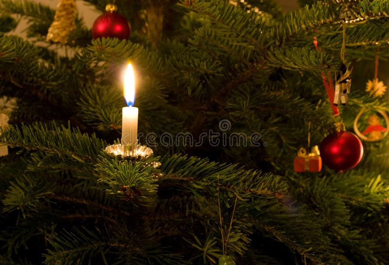 Traditional Xmas Tree stock image. Image of christmas - 3512851