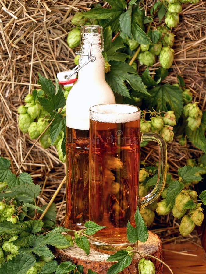 Rustic arrangement stock image. Image of vase, petroleum - 74071279