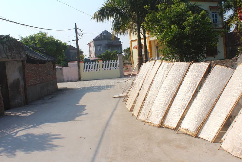 Traditionally Made Rice Paper Drying in Sun, Vietnam Stock Photo ...