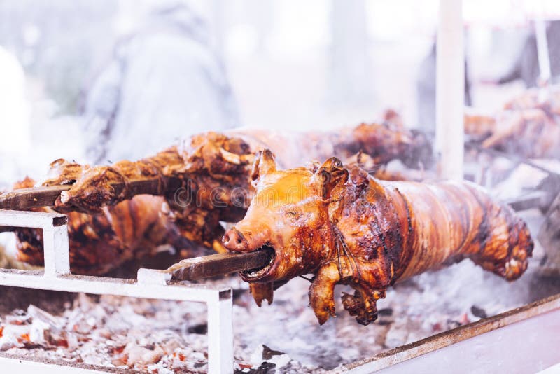 Traditionally Suckling Pig on a Rotating Spit Stock Image - Image of ...
