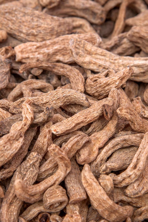 Traditionele Chinese Geneeskunde Tianma - Stock Foto - Image of gezond ...