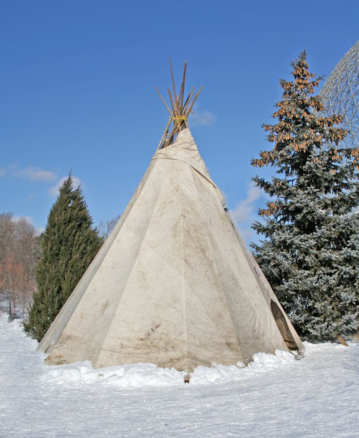 Teepee Cabin in Forest stock photo. Image of simple, shelter - 5029298