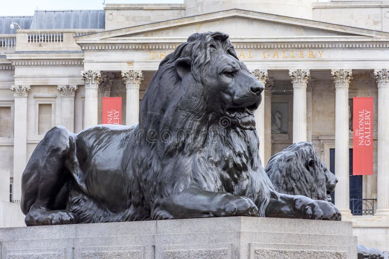 Trafalgar Square Lions at Nelson Column with National Gallery at ...