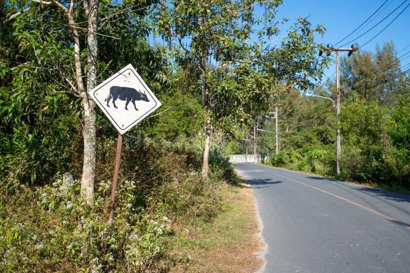 Traffic Buffalo Warning Sign Stock Photo - Image of traffic, cross ...