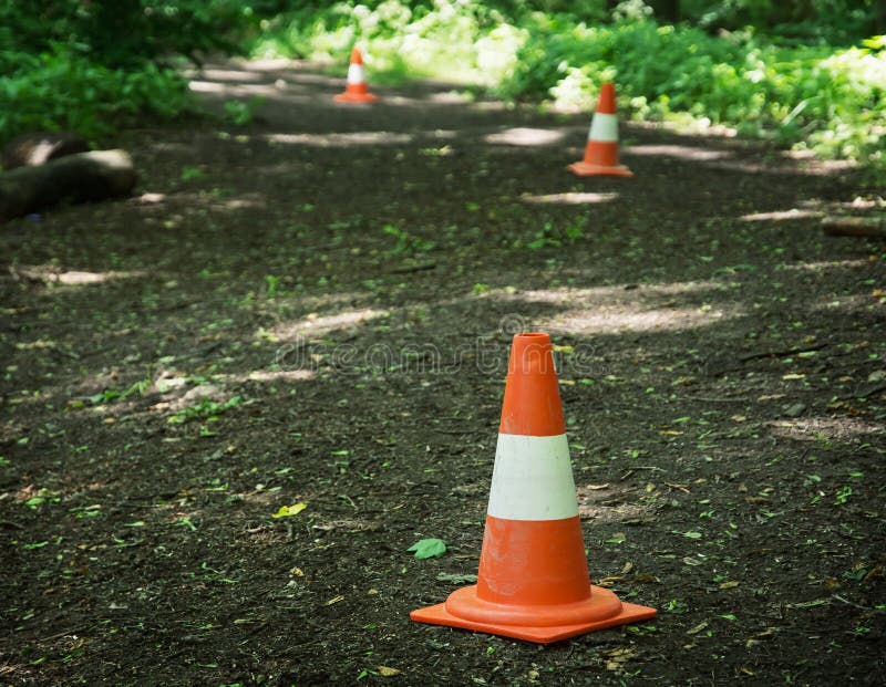 Traffic Cones Defining Route To Run through the Wood Stock Image ...
