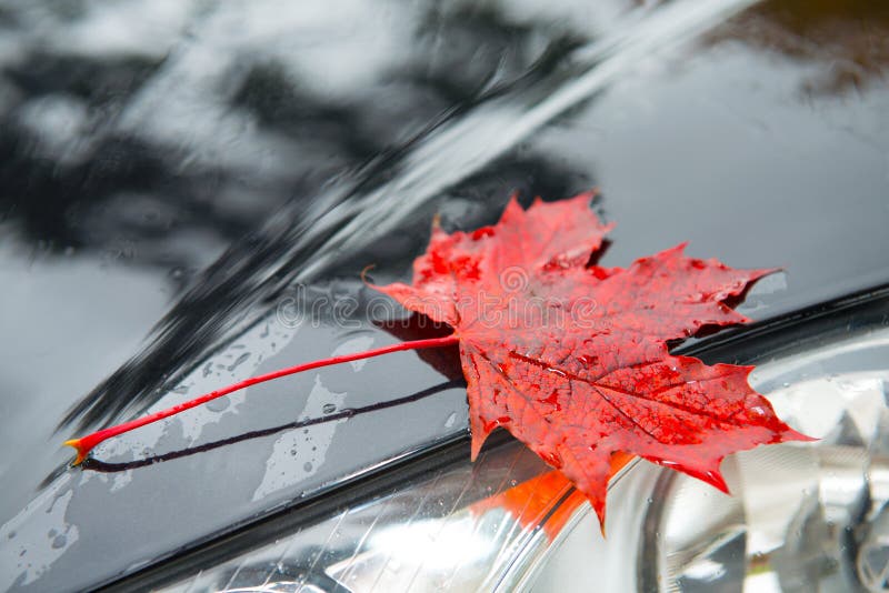 Fall highway stock image. Image of auto, cloudy, highway - 1318553