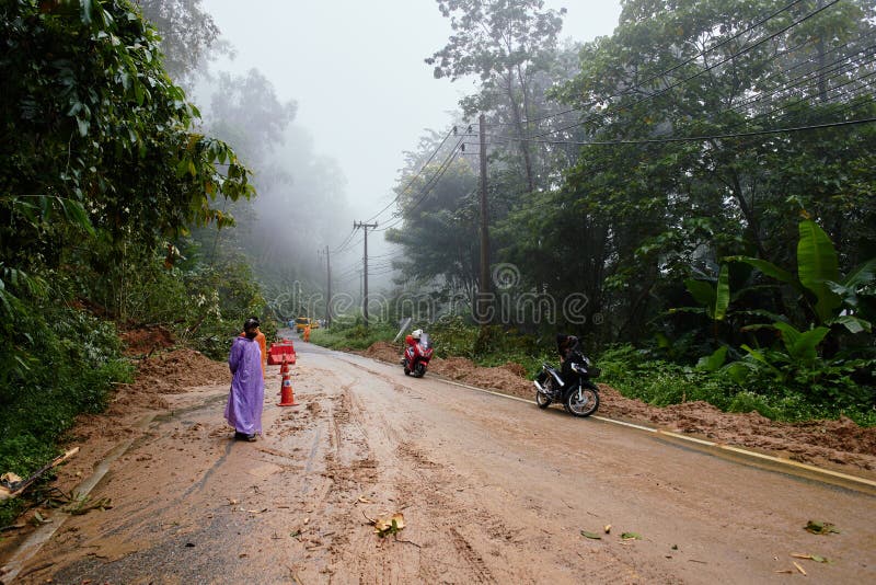 Traffic Jam on a Mountain Road. Fallen Tree Tree Blocking the Road ...