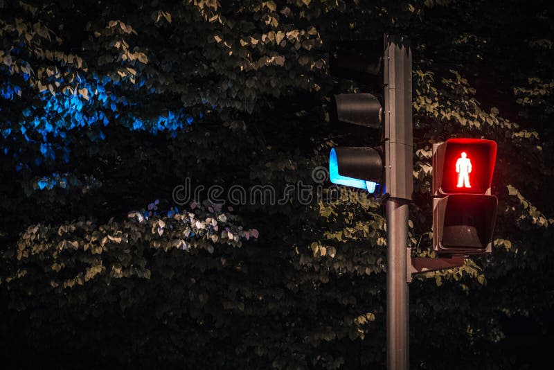 Traffic Light Pole on the Red Light Outdoors - Traffic Control in the ...