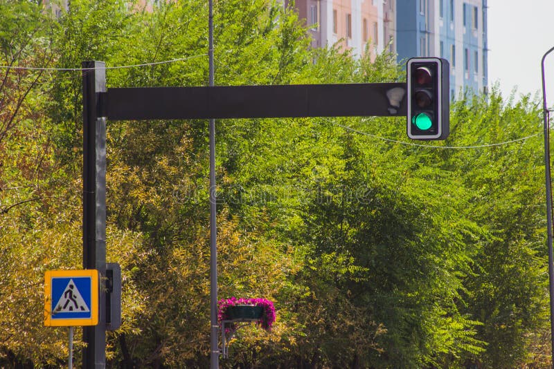 Traffic Light Post Green Light Timer with Trees Stock Image - Image of ...