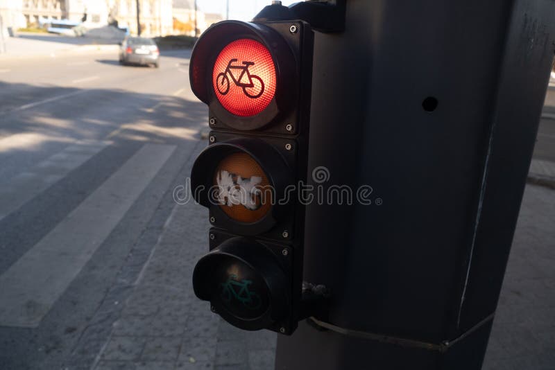 Traffic Light Shows Red Lights for Bike at the Crossing Stock Photo ...