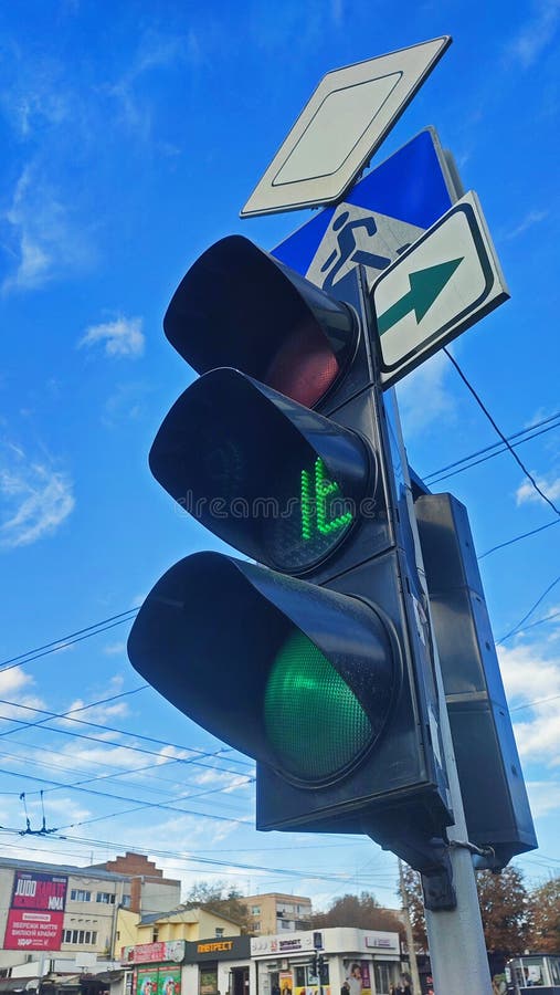 Traffic Light on the Street at a Pedestrian Crossing Editorial Stock ...