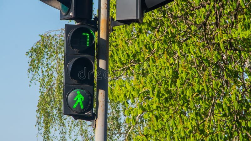 Traffic Lights with the Green Light Lit Stock Photo - Image of security ...