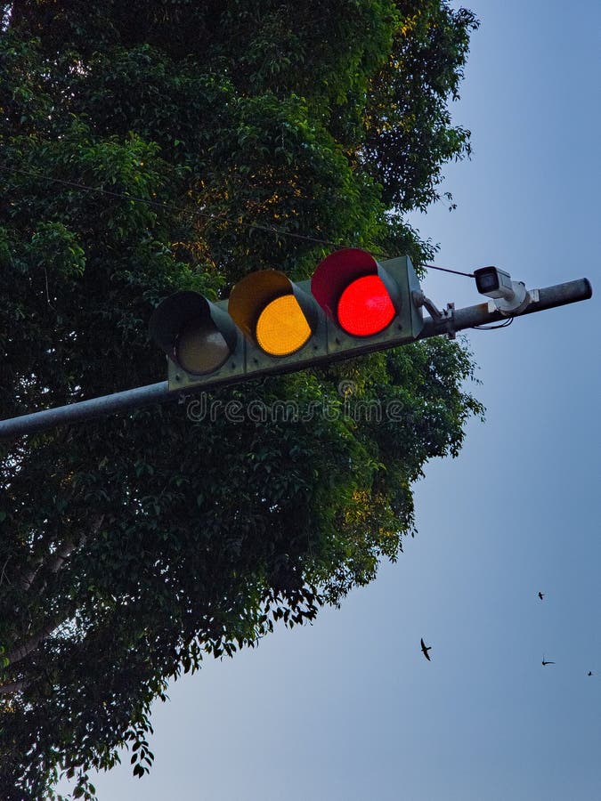 Traffic Lights View that Captured by Phone Stock Photo - Image of ...