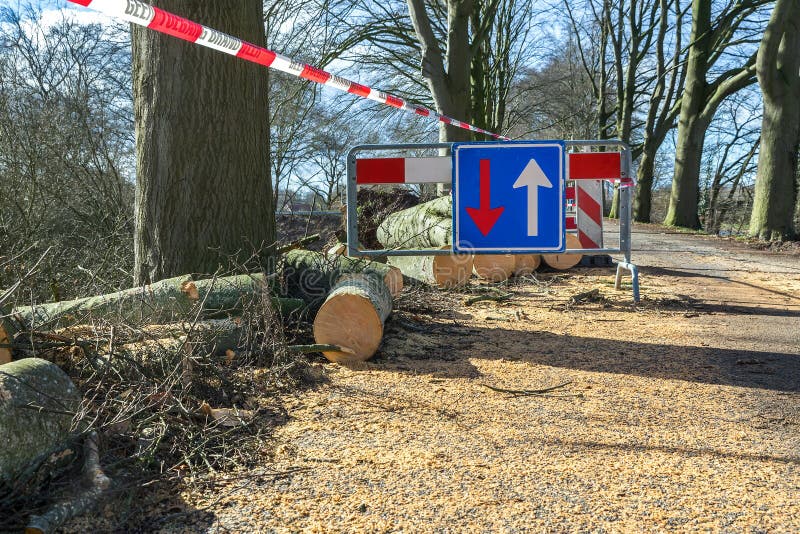 Traffic Problems Traffic Sign Storm Damage Fallen Tree Stock Image ...