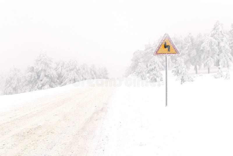 Traffic road sign in snow stock image. Image of daytime - 7475803