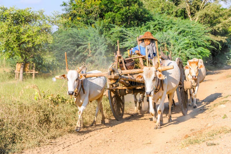 Traffic on the Roads Myanmar Editorial Stock Image - Image of nature ...