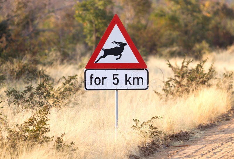 Traffic Sign: Caution Springbok Crossing Road Stock Image - Image of ...