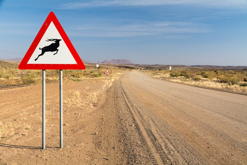 Traffic Sign: Caution Springbok Crossing Road Stock Photo - Image of ...