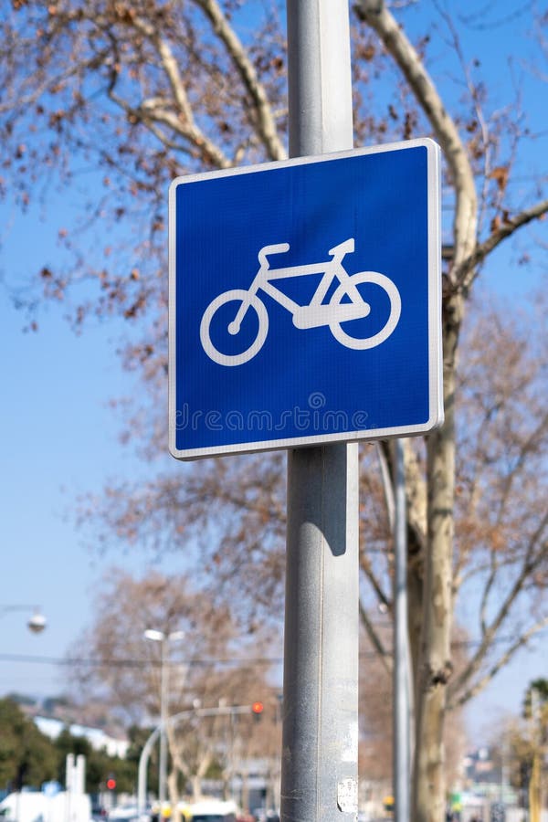 Traffic Sign for a Cycle Lane Surrounded by Leafy Plants on a Sunny Day ...