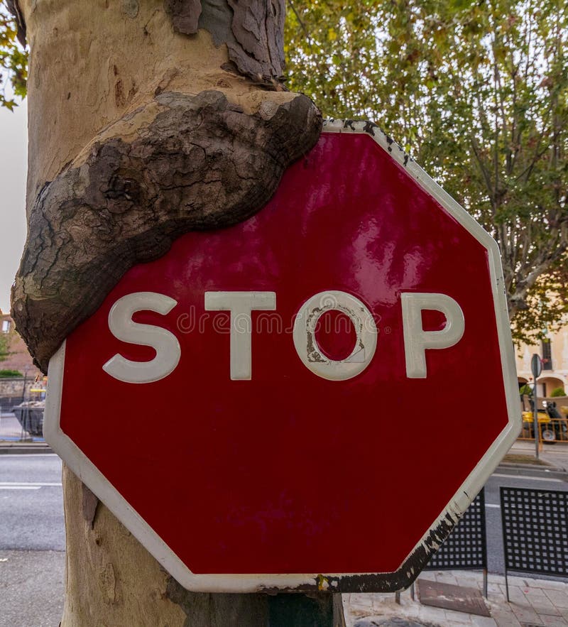 Traffic Sign Eaten by a Tree Stock Image - Image of soil, lane: 369042383