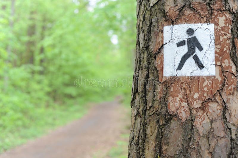Traffic Sign on a Tree in the Forest Stock Image - Image of tracking ...
