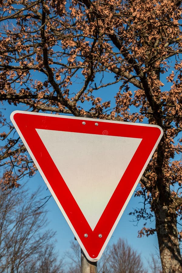Traffic sign in the forest stock image. Image of idyll - 102794881
