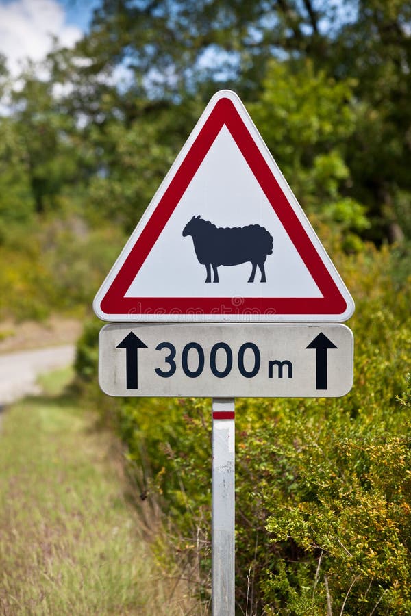 Traffic Sign Warning of Sheep on the Road Stock Photo - Image of post ...