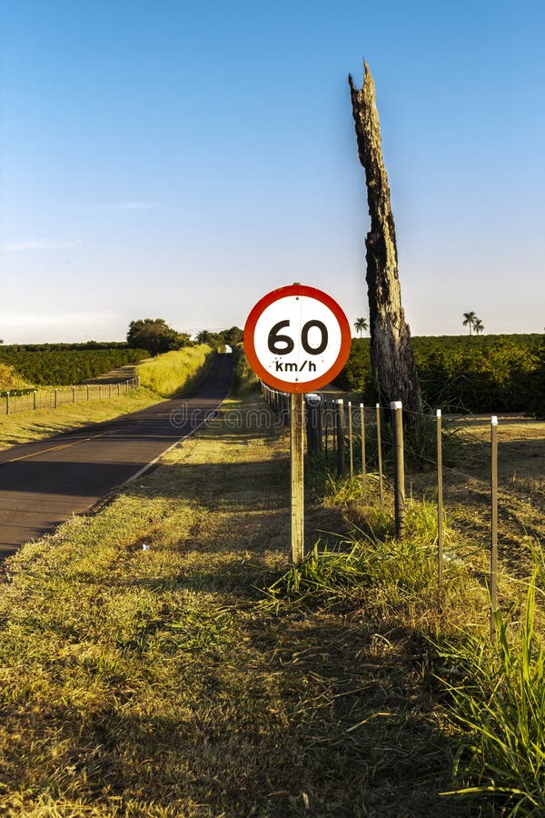 Traffic Signpost, Which Indicates the Maximum Speed Allowed at the ...