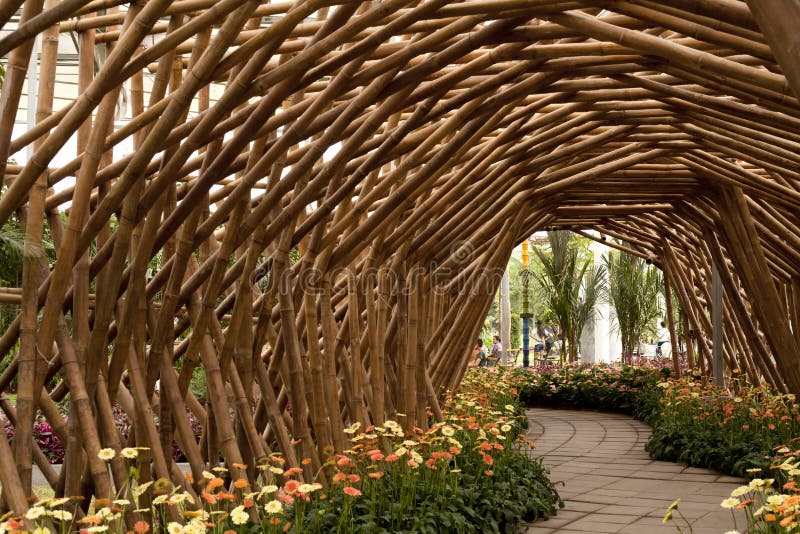 Traforo Di Bambù Con Il Fiore Fotografia Stock - Immagine di corsa ...