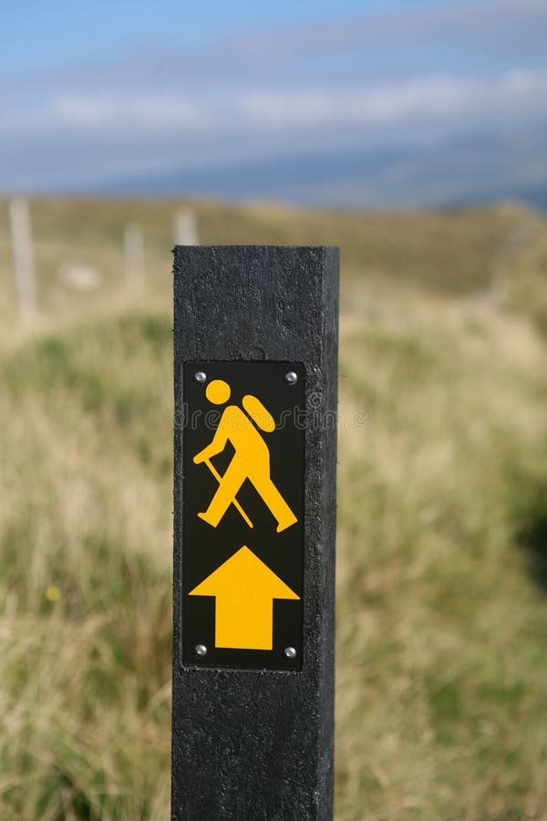 Indications Path in the Forest. Orientation Pole. Meadow Trail Stock ...