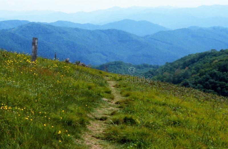 Trail Across Max Patch Bald in Spring. Stock Image - Image of trails ...