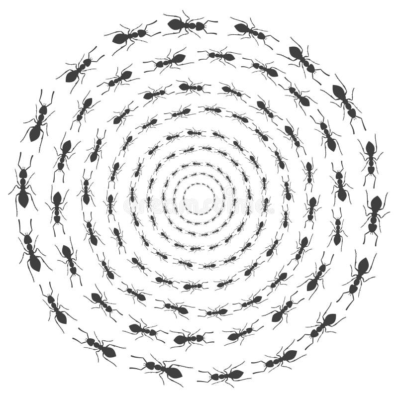 Black Ants Border Frame Stock Illustrations – 51 Black Ants Border Frame Stock Illustrations ...