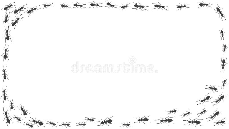 Trail of Ants. a Rectangle Frame of Insects Stock Vector - Illustration ...