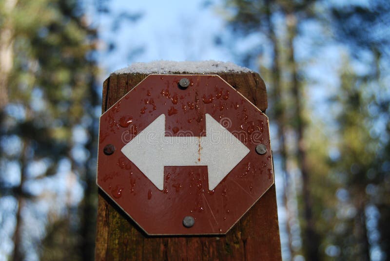 Trail Arrow stock photo. Image of brown, hiking, arrows - 13528612