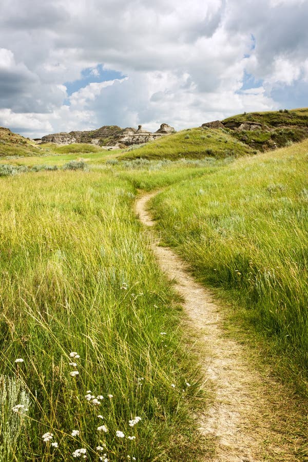 Badlands in Alberta, Canada Stock Photo - Image of rock, arid: 19997758