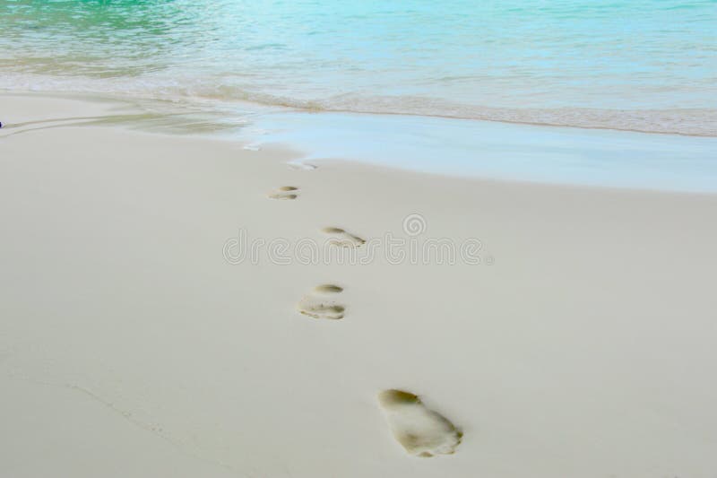 Trail Barefoot Feet in the Sand Stock Photo - Image of barefoot, shore ...